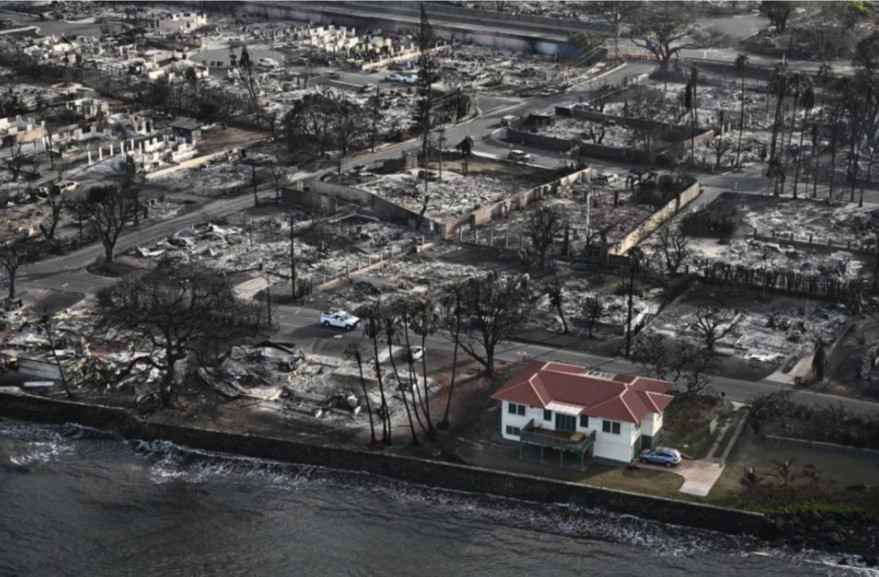 Hazard Resistant Building Codes: Safeguarding Lives and Structures ...